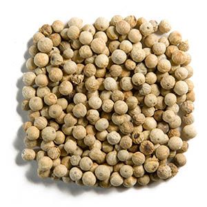 Peppercorns White | The Spice Trader